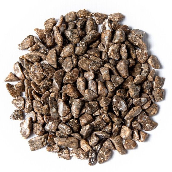 Tree Of Life Gems | Office | Lb Tumbled Turritella Elimia Gemstone ...